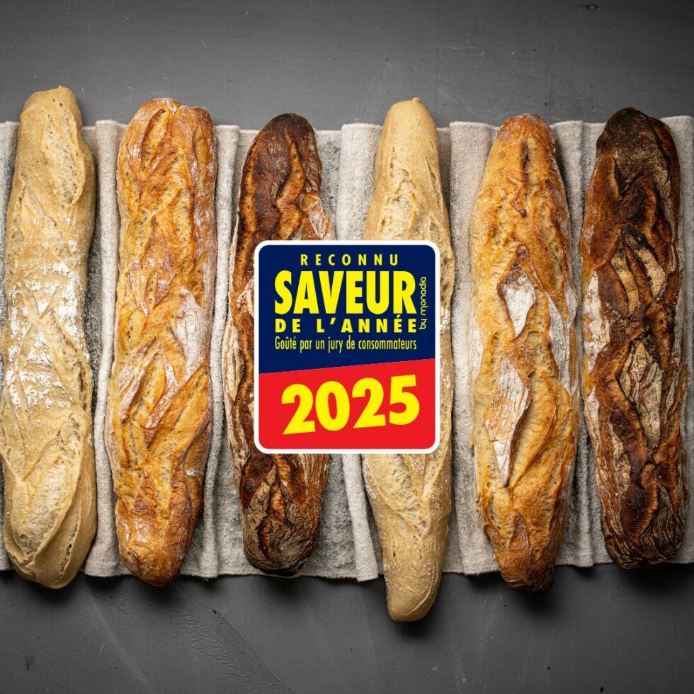 Actualités - Marie Blachère